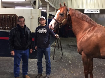 Blog Haras Vista VerdeYEARLING VERDE é sobrinho de ONE DASHING EAGLE ...